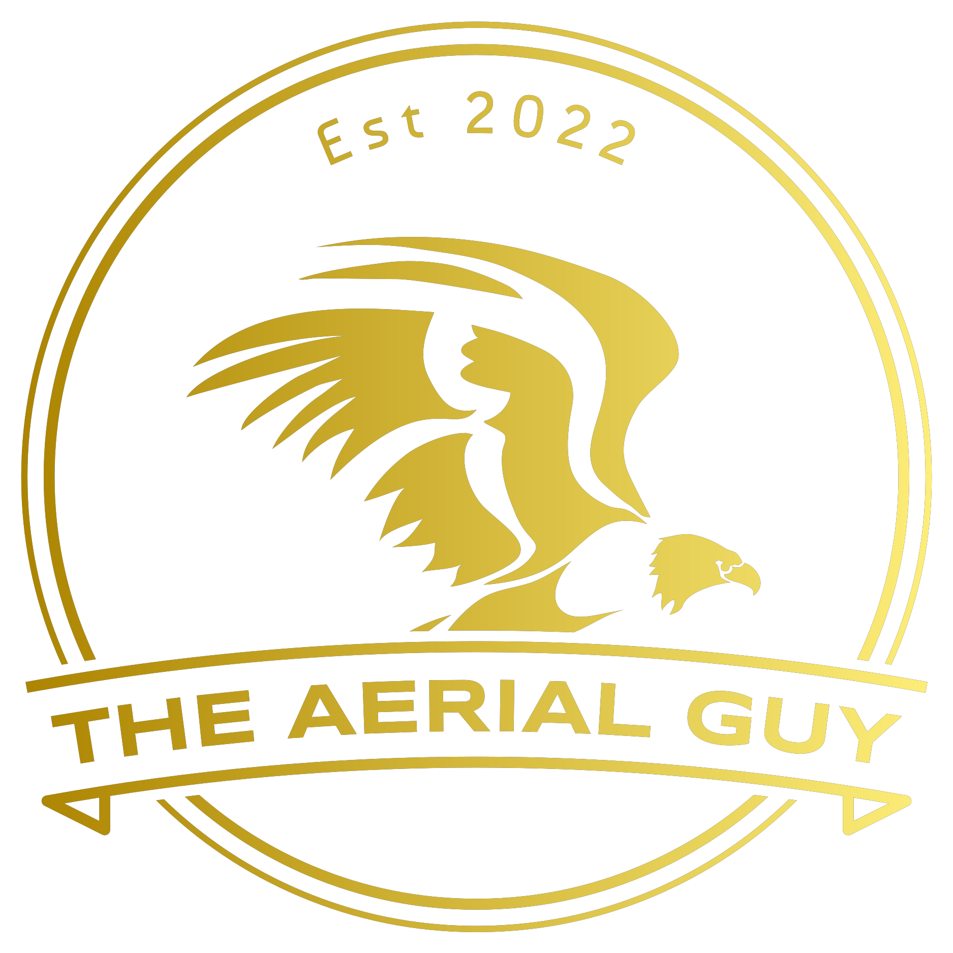 The Aerial Guy